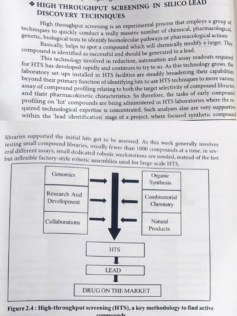 High Throughput Screening in Silico Lead Discovery Techniques | PDF | High Throughput Screening ...