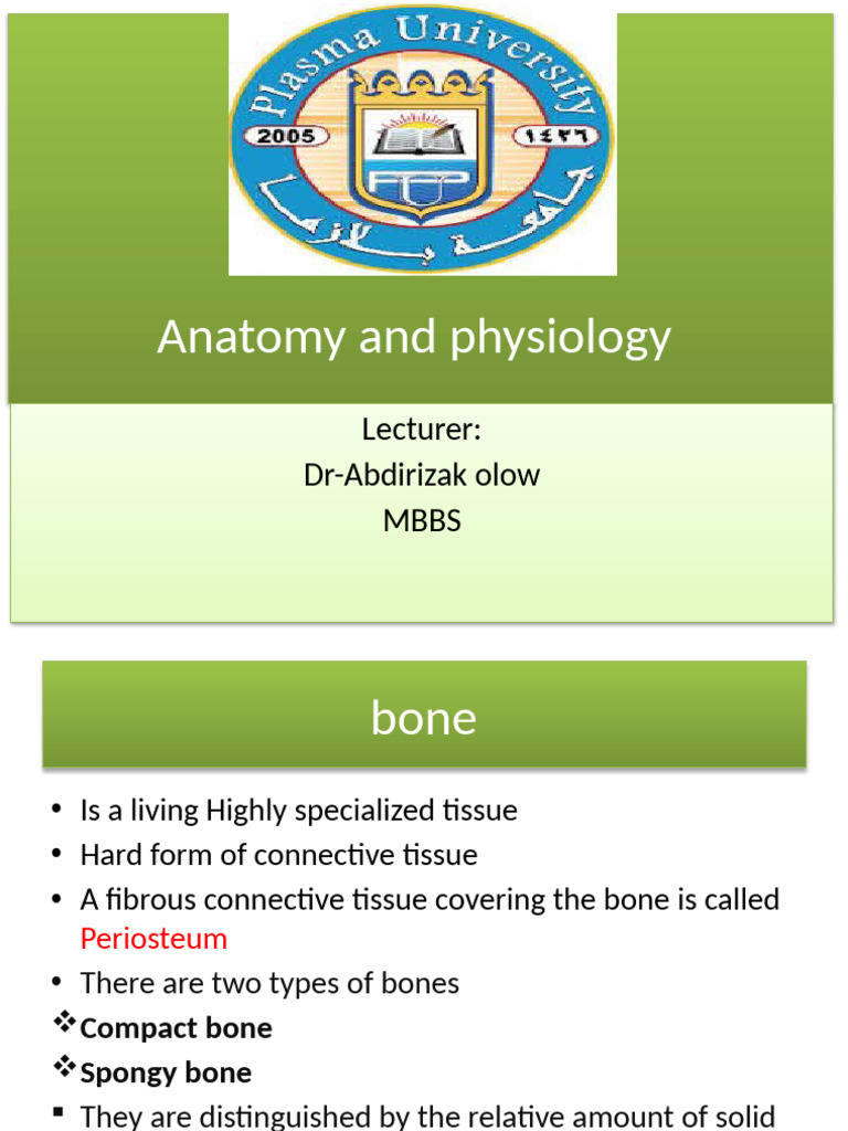 Joints Overview in Human Anatomy | PDF | Bone | Anatomical Terms Of Motion