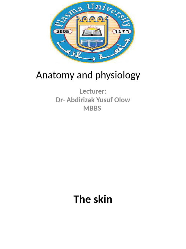 3. The skin | PDF | Skin | Epidermis