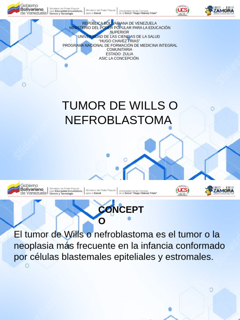 Nefroblastoma: Tumor Infantil Común | PDF