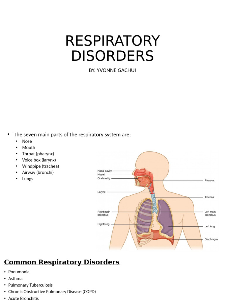 Respiratory Disorders | PDF | Respiratory Diseases | Pneumonia