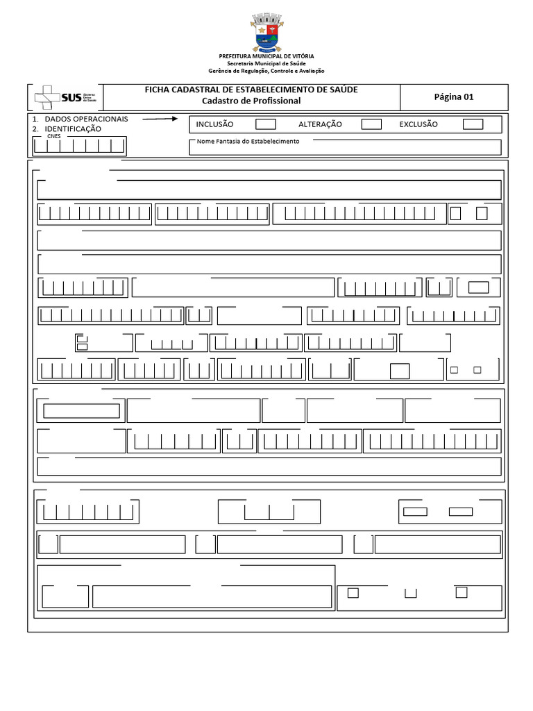 Ficha Cadastral - Profissional - CNES | PDF | Brasil
