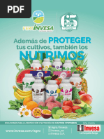 Ficha Tecnica Nitro Xtend XP K S | PDF | Fertilizante | Nutrientes