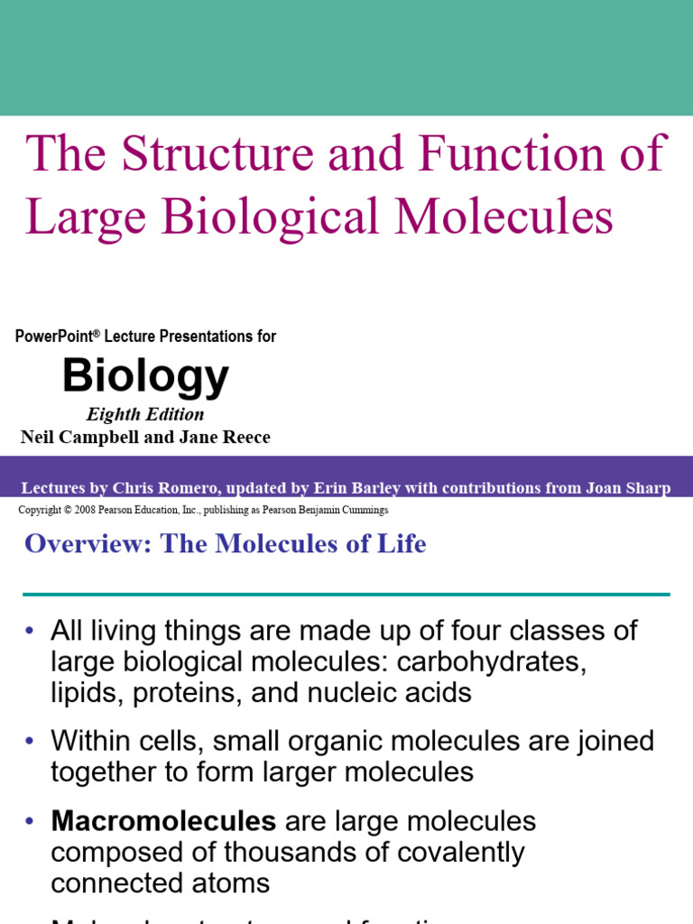 Chapter 05-Macromolecules | PDF | Nucleotides | Fatty Acid