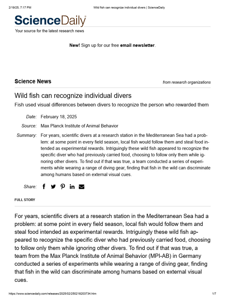 Wild Fish Recognize Individual Divers | PDF | Scuba Diving | Fish