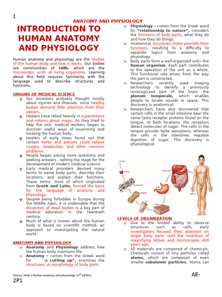 ANAPHY - CH1 - Introduction To Anatomy and Physiology | PDF | Human ...