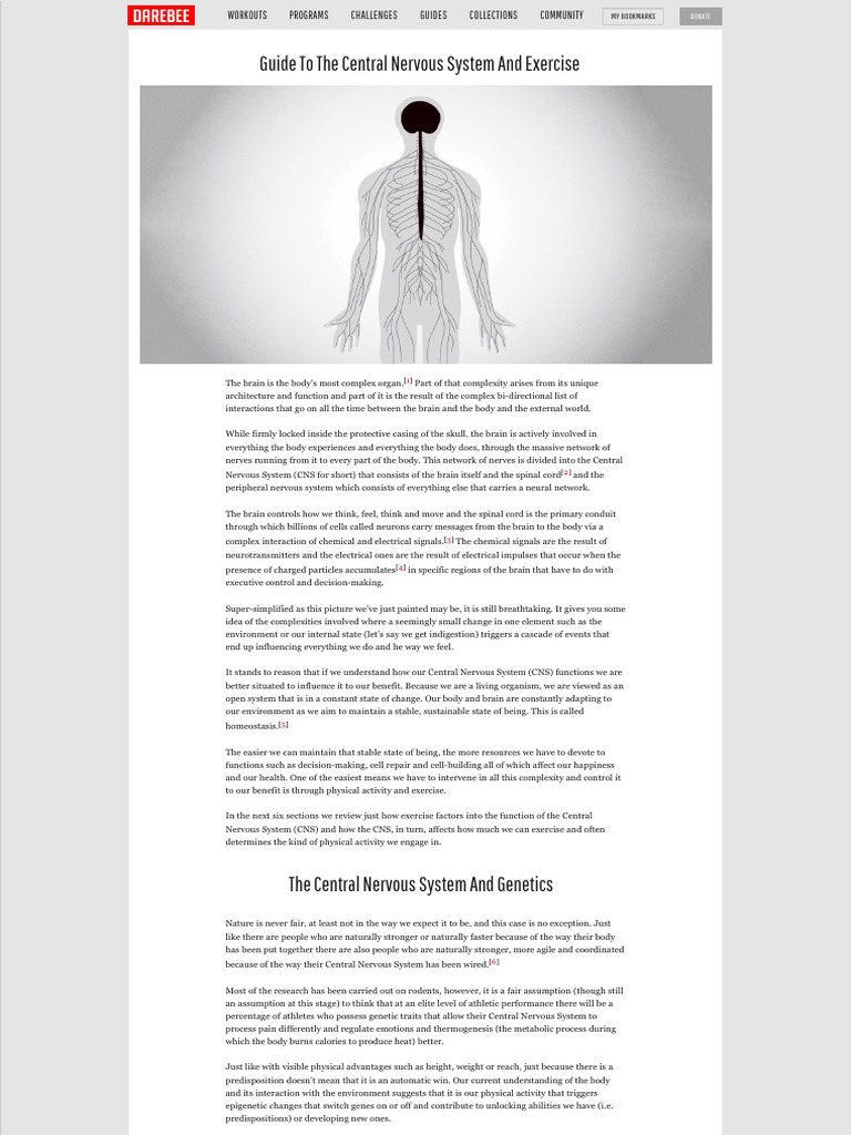 CNS Function and Exercise Benefits | PDF | Nervous System | Cellular ...