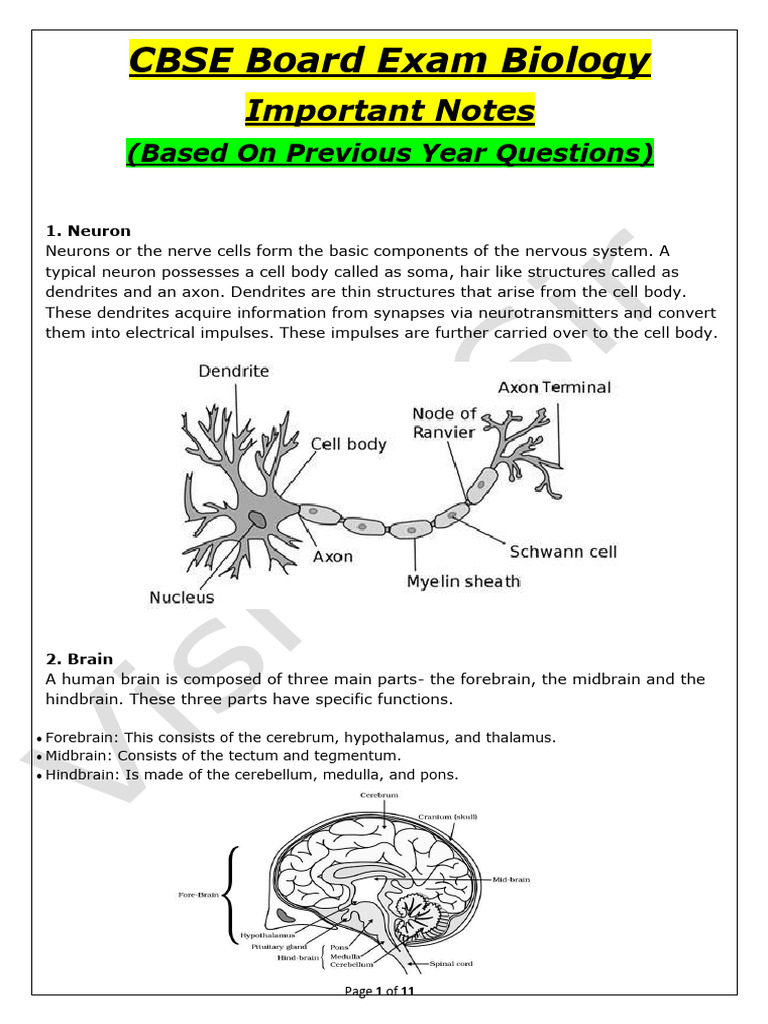 CBSE Class 10 Important Biology Diagrams For Board Exam | PDF | Atrium ...