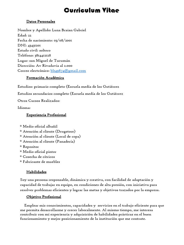 Curriculum Vitae de Luna Braian Gabriel | PDF