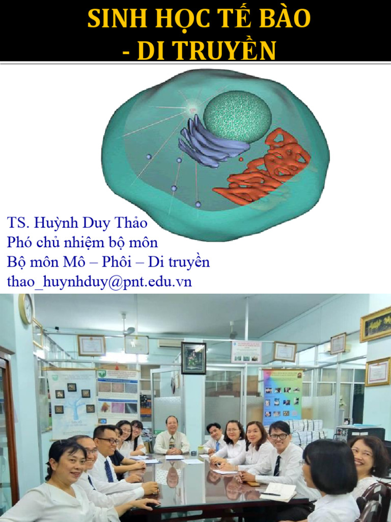 Bai Mo Dau SHTB - DT 2024 - 2025 | PDF