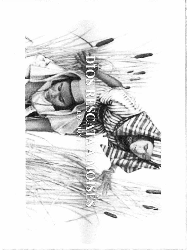 Liiii | PDF