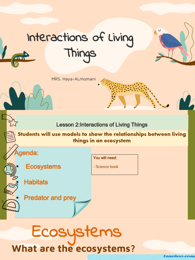 Ecosystem Interactions and Relationships | PDF | Ecosystem | Predation