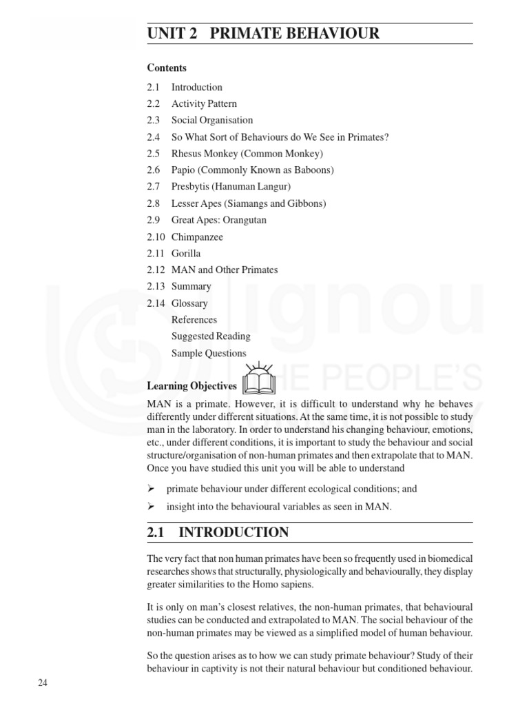 Understanding Primate Social Behavior | PDF | Chimpanzee | Gorilla