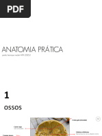 Forames do Crânio e suas Funções | PDF | Neuroanatomia | Anatomia humana