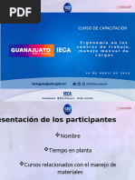 Norma Oficial Mexicana Nom-036-1-Stps-2018 | PDF | Factores humanos y ...