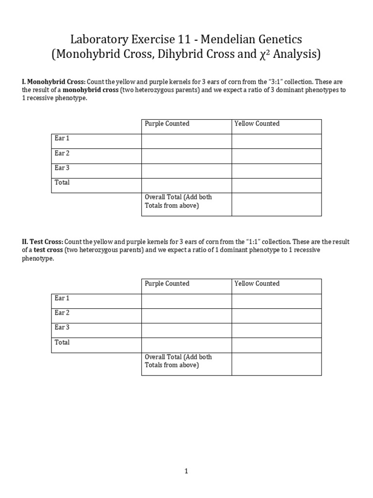 Mendelian Genetics Exercise | PDF | Dominance (Genetics) | Genetics