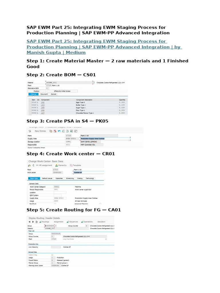 EWM Staging for Production Planning | PDF | Computing