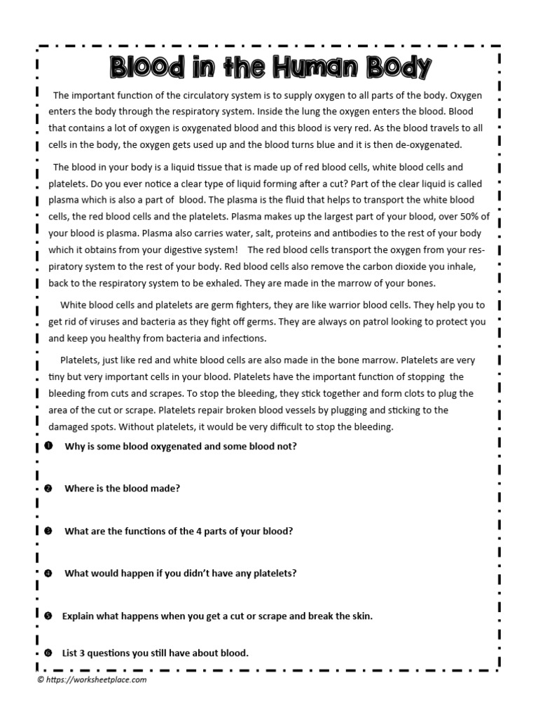 Circulatory System Blood Activity | PDF