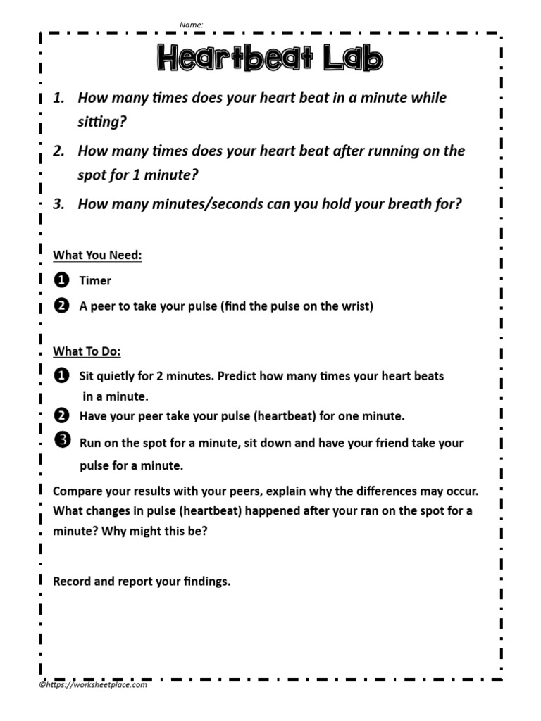 Circulatory System Heartbeat Lab | PDF