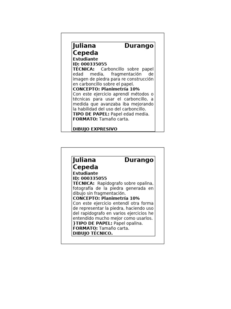 FORMATO DE RÓTULO ENTREGA Ana Montoya | PDF | Dibujo | Tecnicas artisticas
