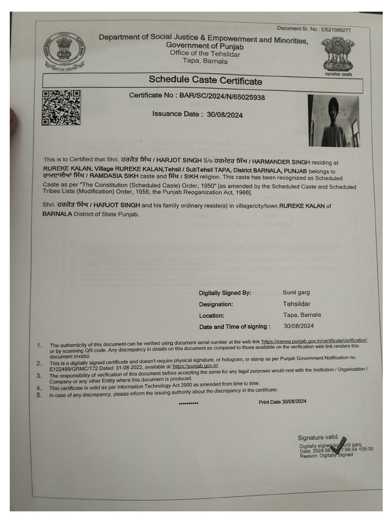 Caste certi pdf | PDF