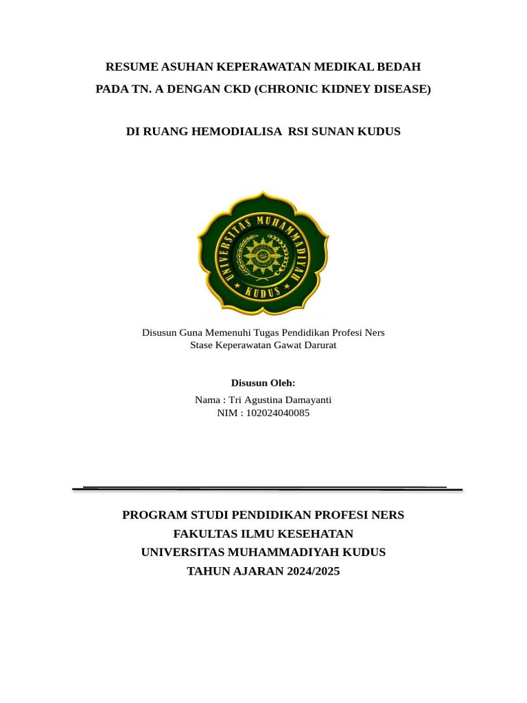 Resume HD CKD Tina | PDF