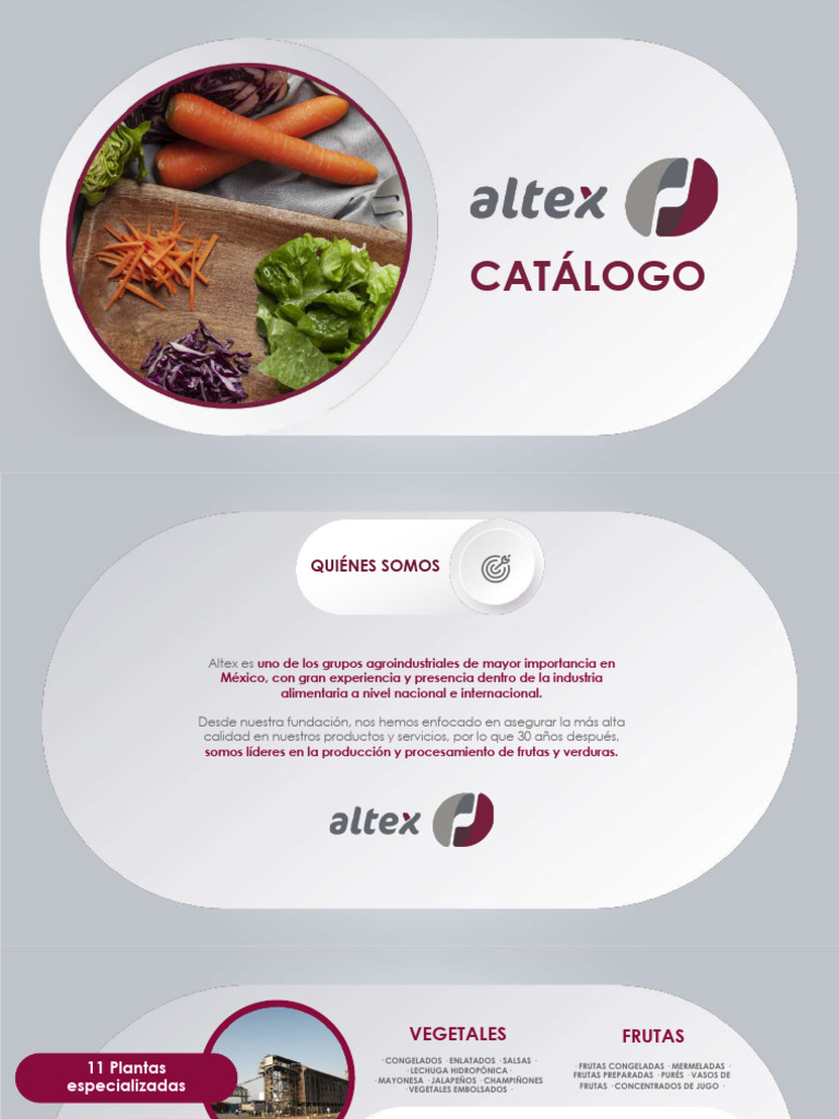 Altex Catalogo Espanol R03 29sep | PDF | Fruta | ensalada