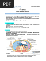 Anatomia da Cavidade Abdominal e Peritônio | PDF | Esôfago | Estômago