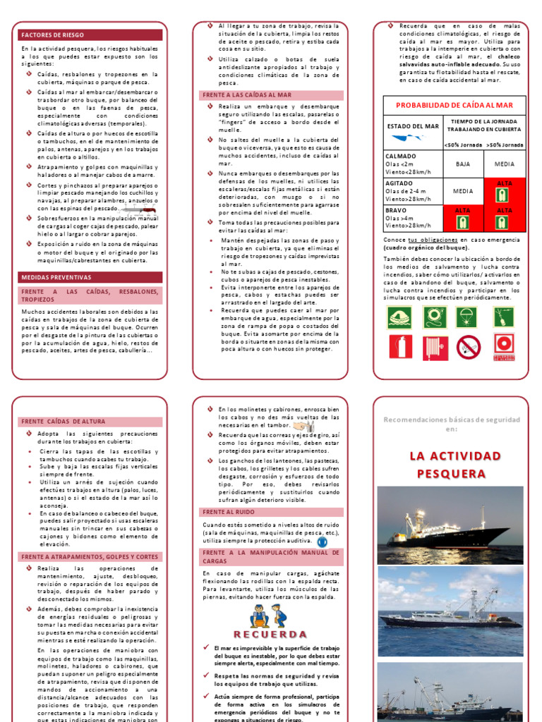 Triptico Actividad Pesquera | PDF