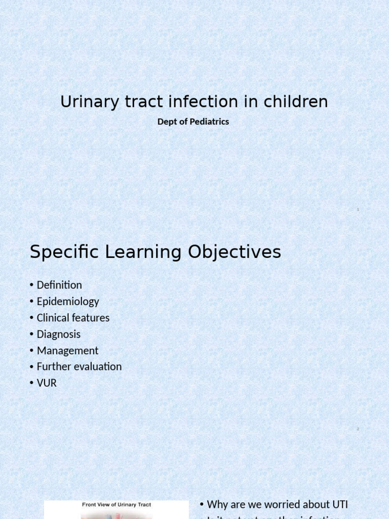 Pediatric Urinary Tract Infections Guide | PDF | Urinary Tract ...