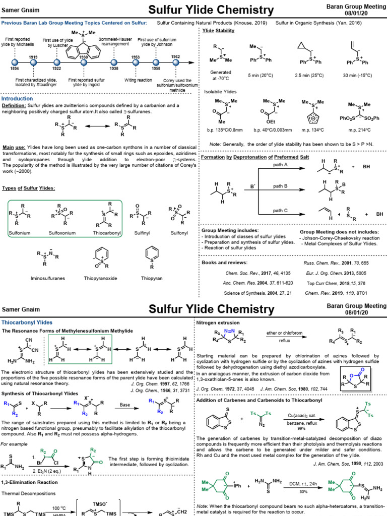 Sulfur Ylide Chemistry Samer Gnaim GM 1 | PDF | Amine | Chemical Reactions