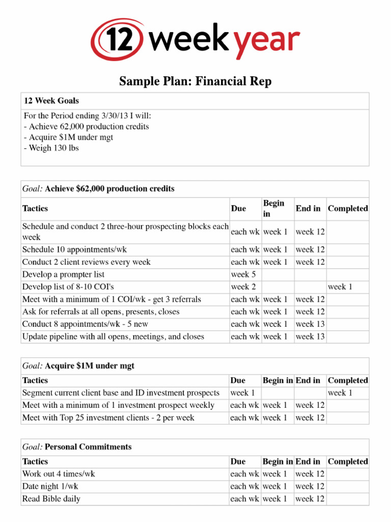 Financial Rep Plan | PDF