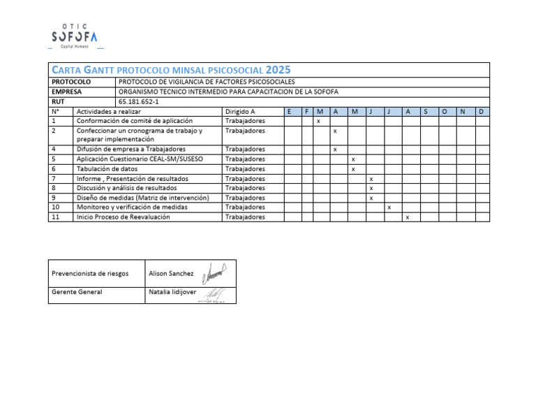 Carta Gantt Protocolo Minsal Psicosocial 2025 | PDF