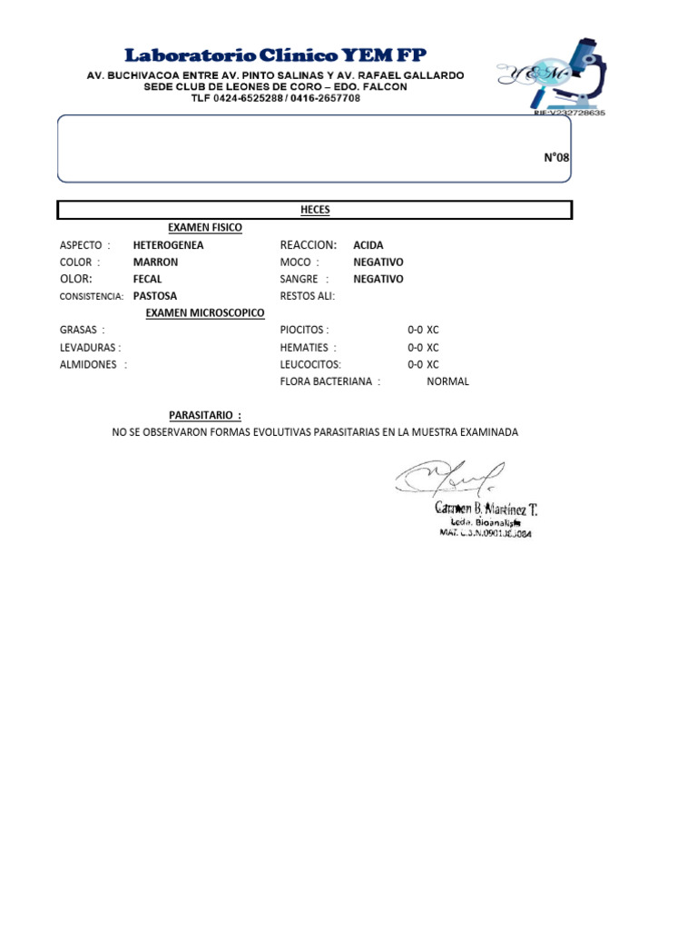 08 Elian Rodriguez | PDF
