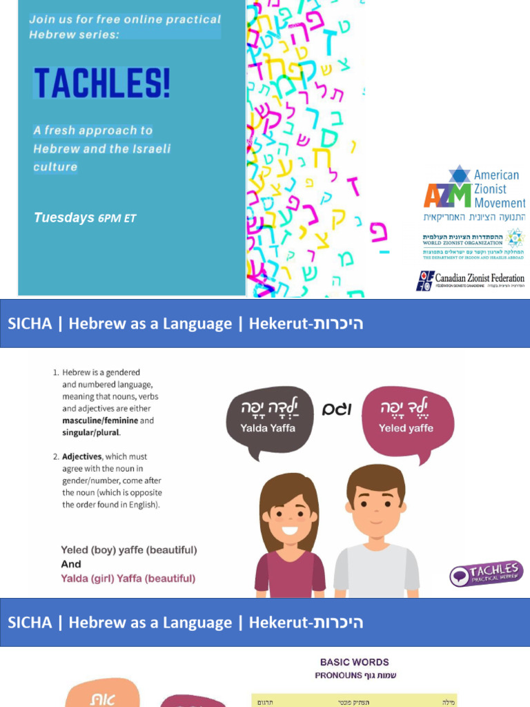 Tachles Class 2 Handout | PDF