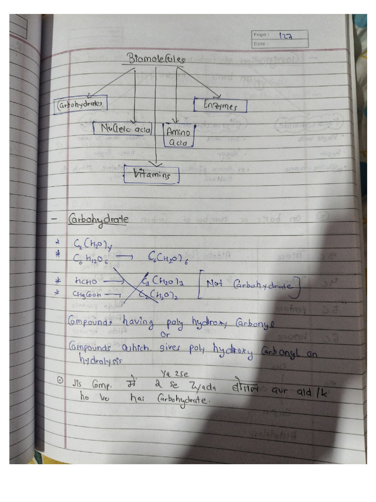 Biomolecules Class 12 Notes 787 | PDF
