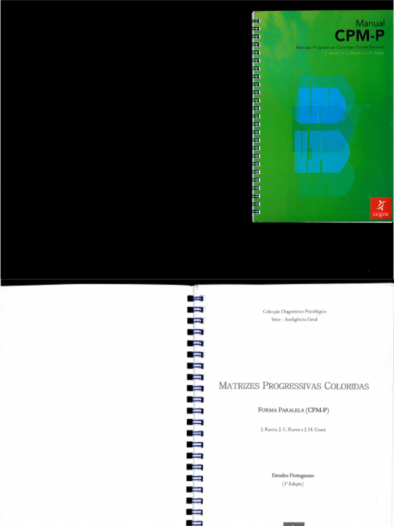 Raven CPM-P - Manual | PDF