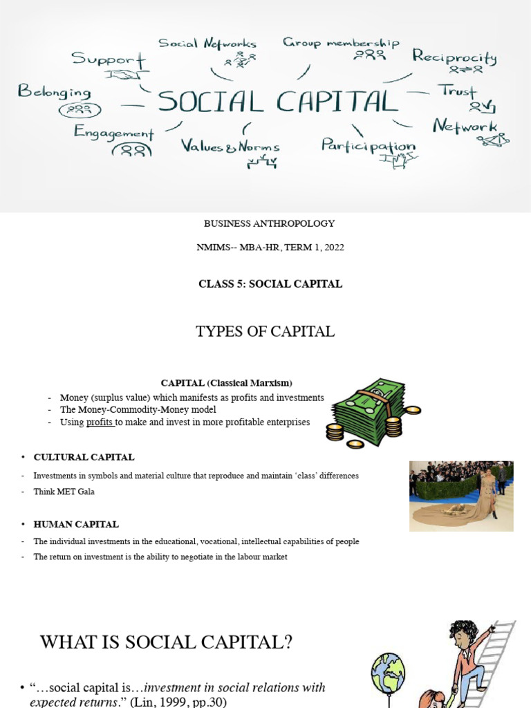 Social Capital in Business Anthropology | PDF