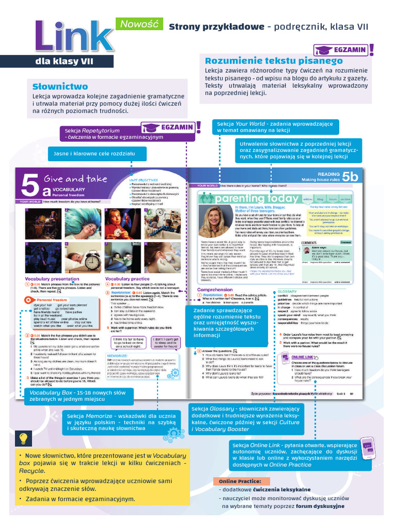Link VII STR Przykladowe Compressed | PDF