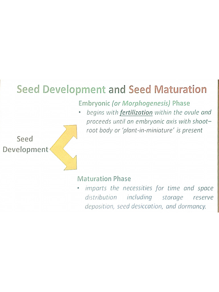 Naseem Sir Notes Sees Development | PDF