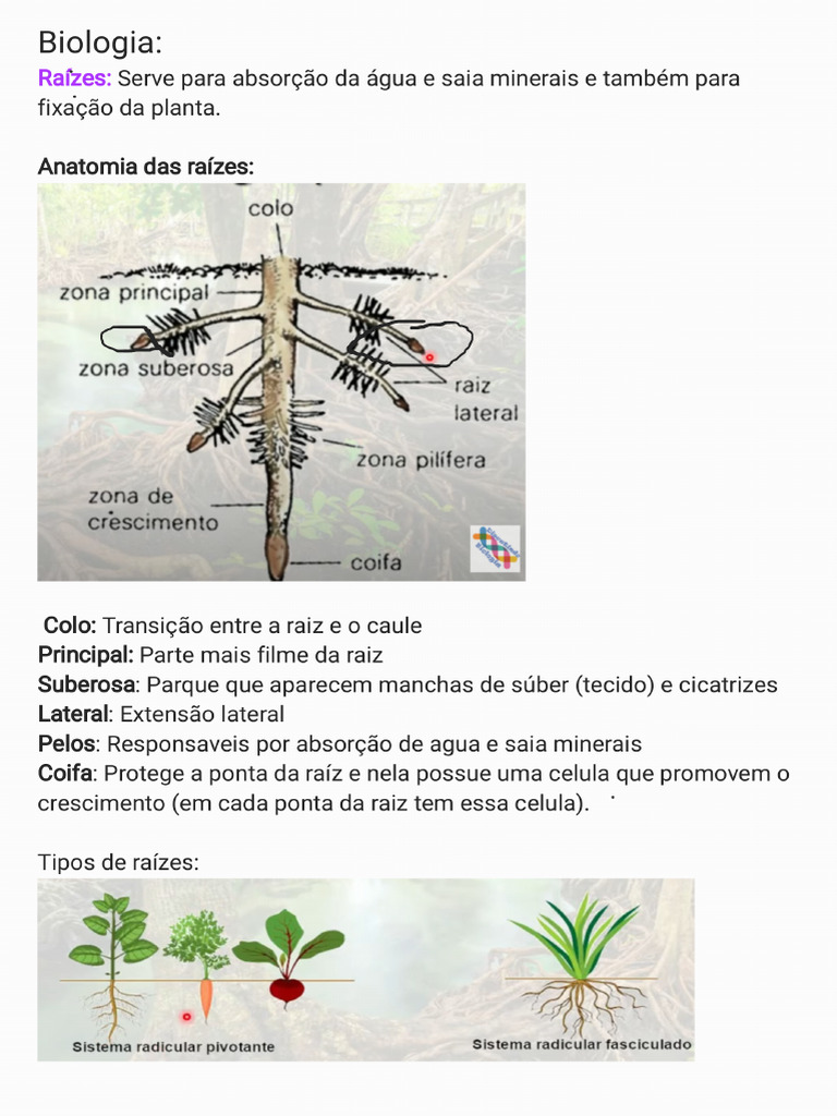 Prova Bimestral - 250212 - 182617 | PDF