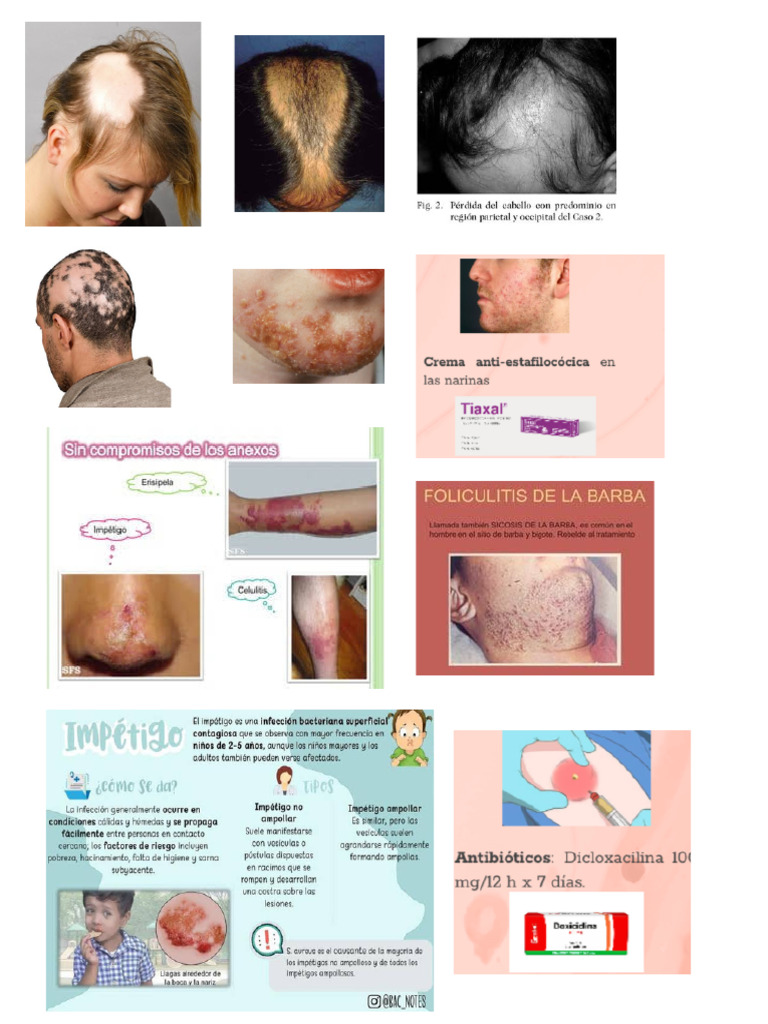 Derma | PDF