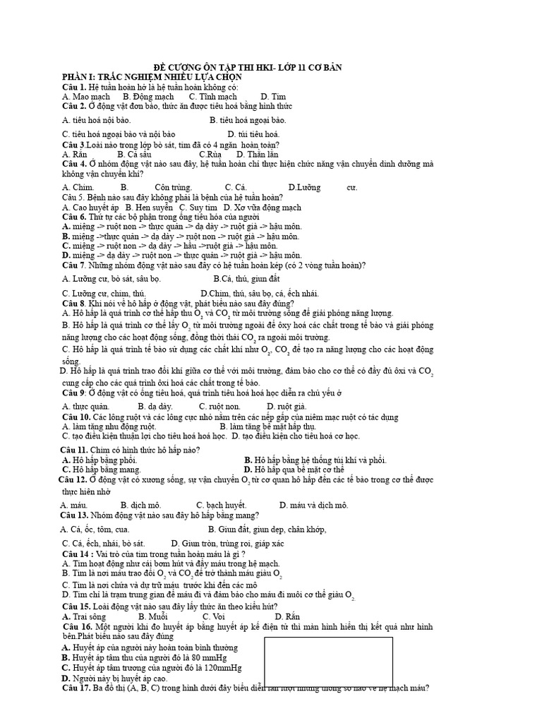 ĐỀ CƯƠNG ÔN TẬP HK1- LỚP 11CB cô Yến.docx 3 | PDF