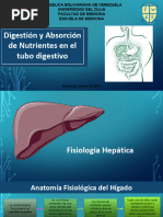 Anatomía del Duodeno y Yeyuno | PDF | Intestino grueso | Tracto ...