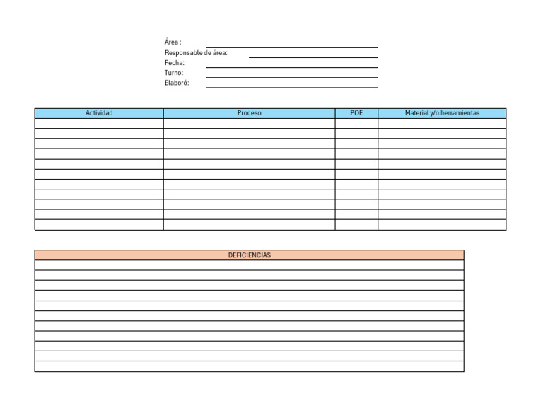 Formato de Revision de Áreas | PDF