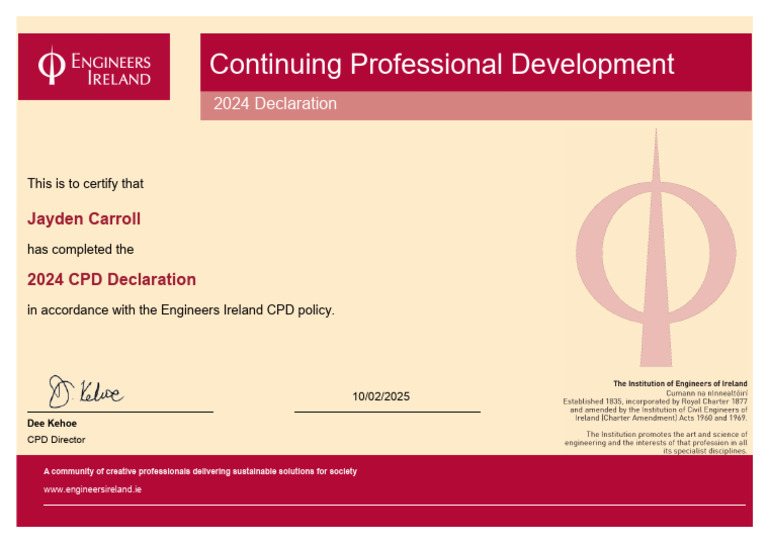 CPDDeclaration 2024 | PDF