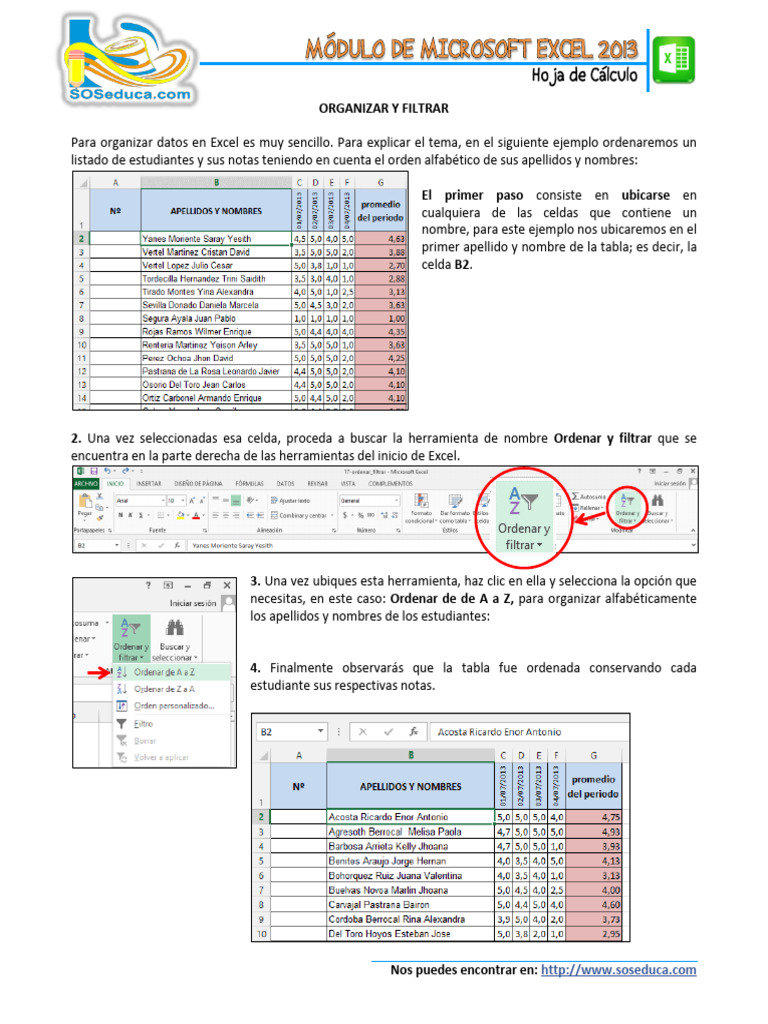 17-Organizar Filtrar Excel2013 | PDF