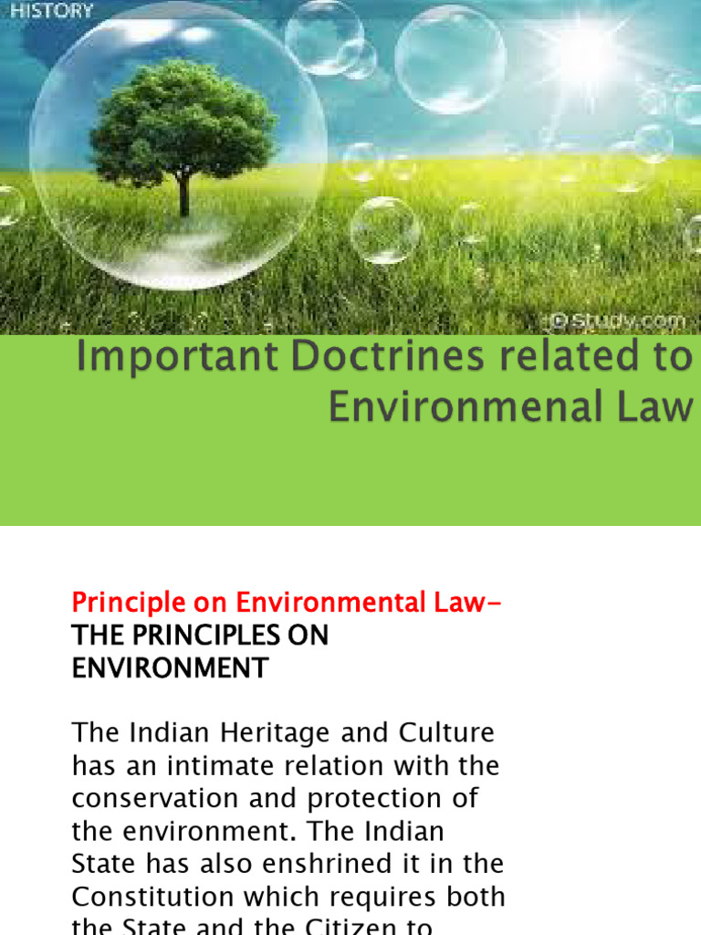 Doctrines | PDF | Environmental Law | Natural Environment