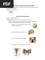 Anatomía de las Falanges de la Mano | PDF | Mano | Articulación