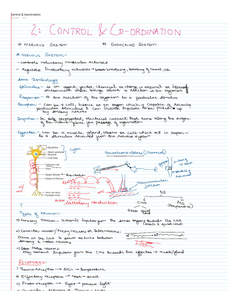 Control & Coordination | PDF